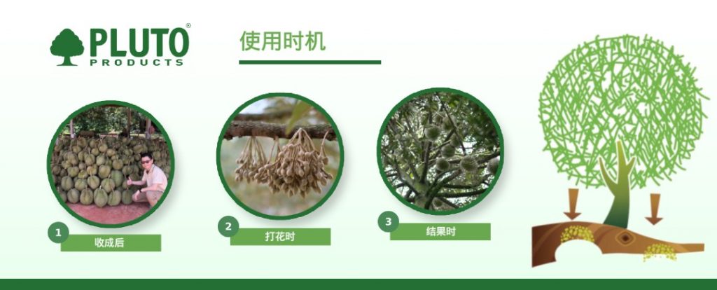 Pluto BioGreen 10g x 50 tablets - Pluto BioGreen | Soil Amendment ...