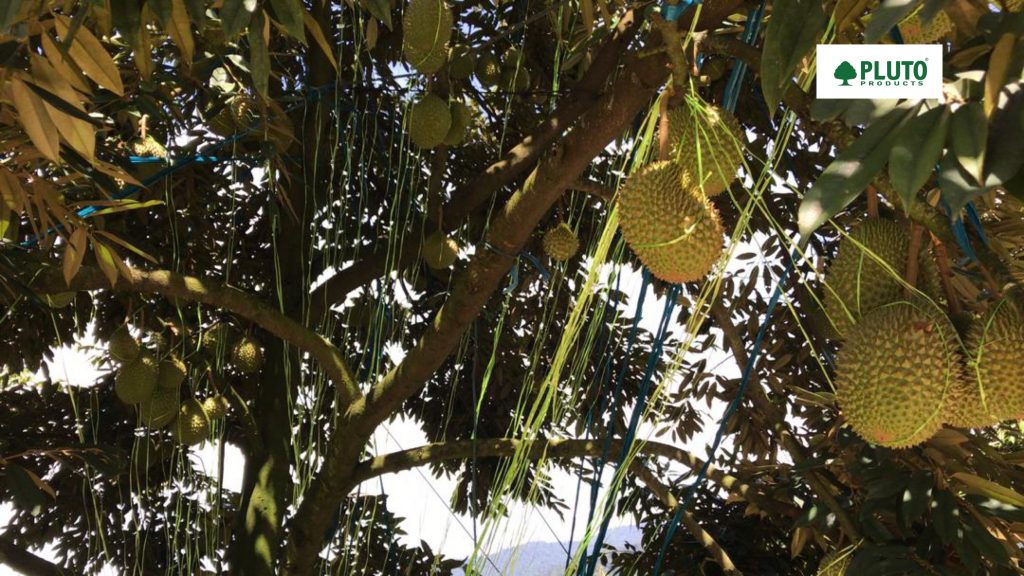 Gallery - Pluto BioGreen | Soil Amendment Product | Booster