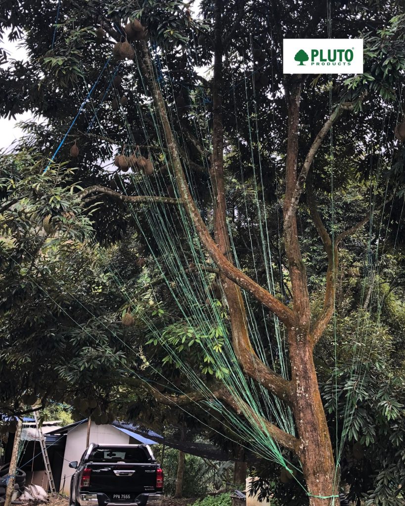 Gallery - Pluto BioGreen | Soil Amendment Product | Booster